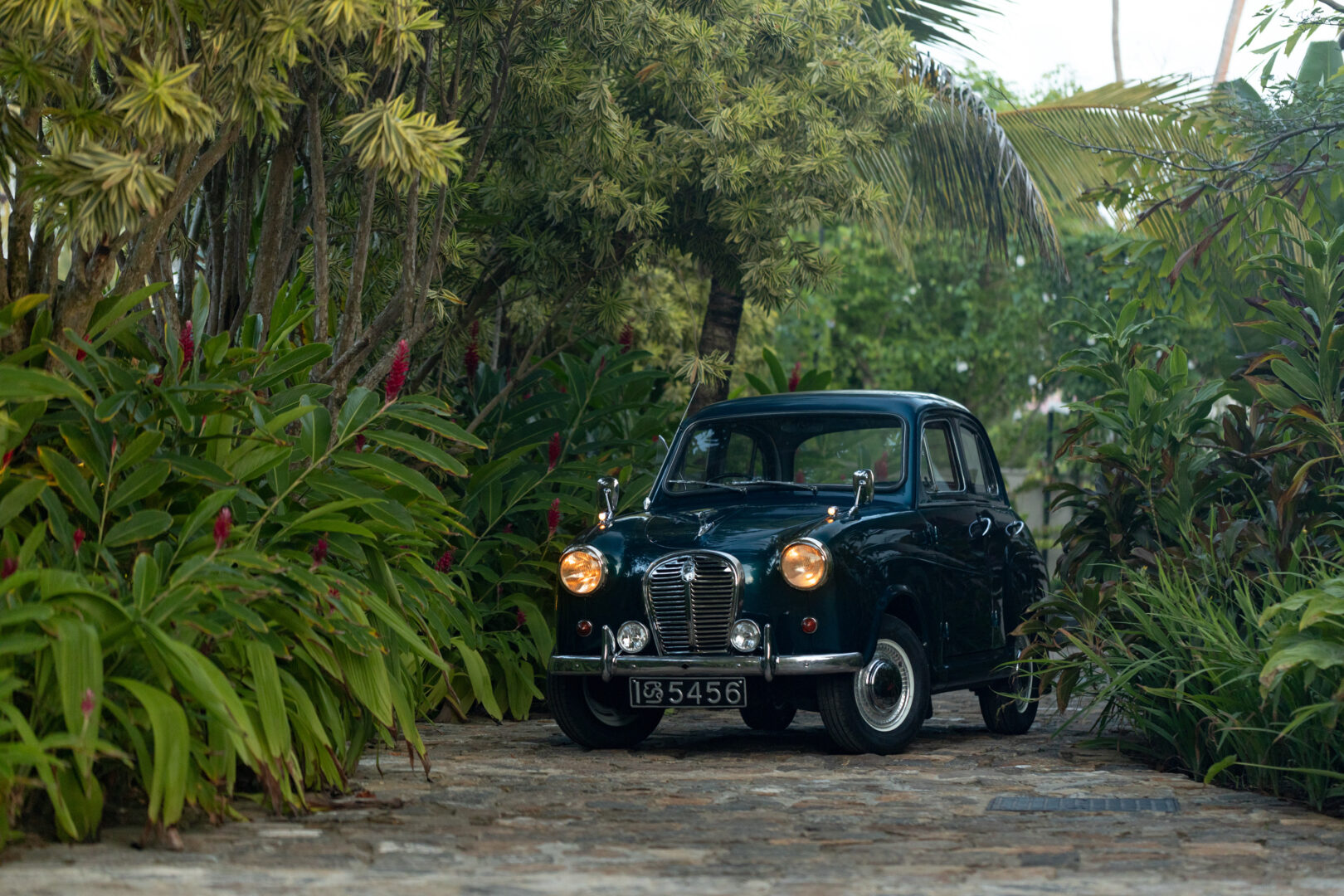 Experience - Villa Thamburu